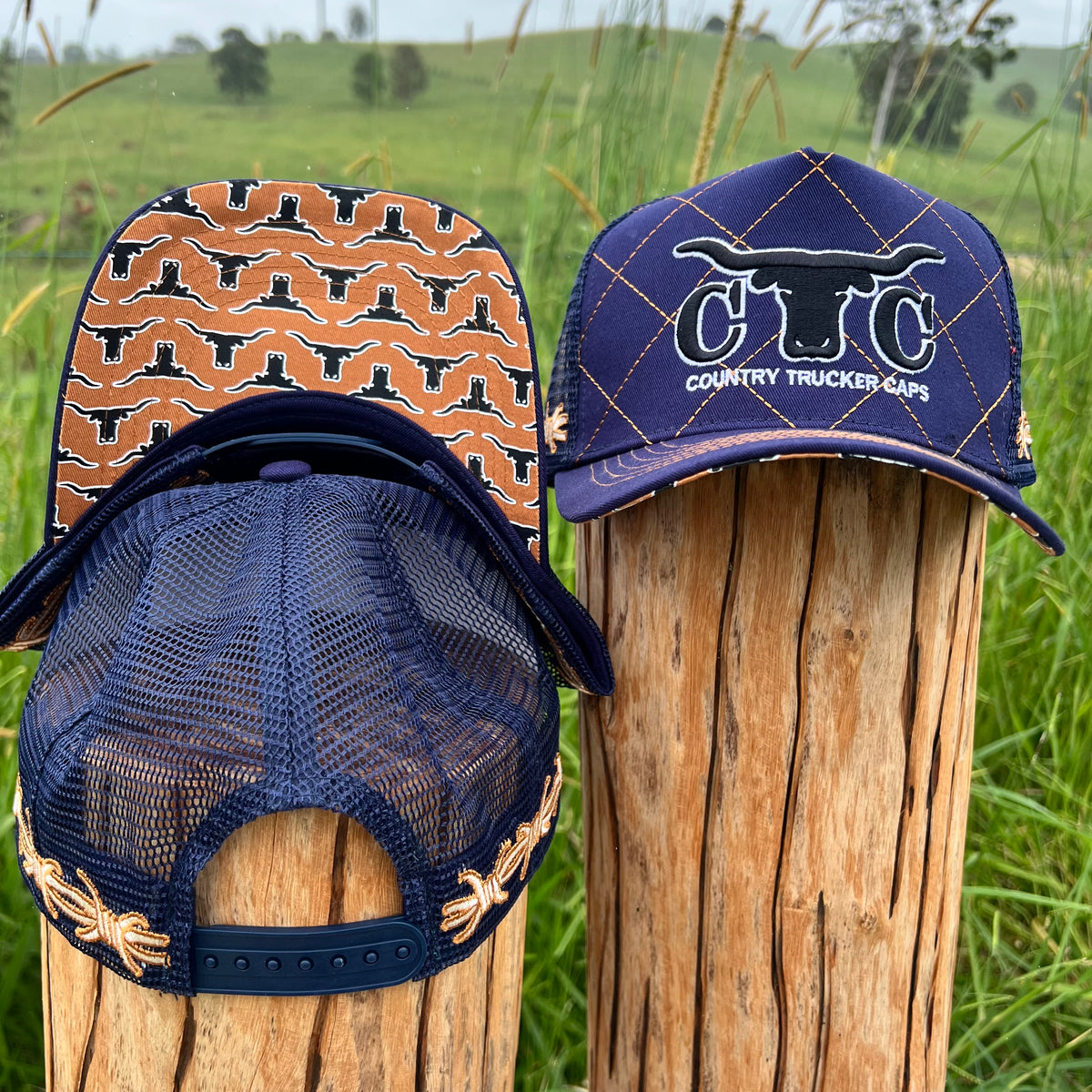 Longhorn Trucker Cap – The Country Companies